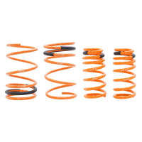 Megan Racing MR-LS-HE08 Lowering Springs | Opposite Front Coil (07-11 ...