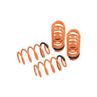 Megan Racing Lowering Springs for | MR-LS-MCX13 | Fitment Industries