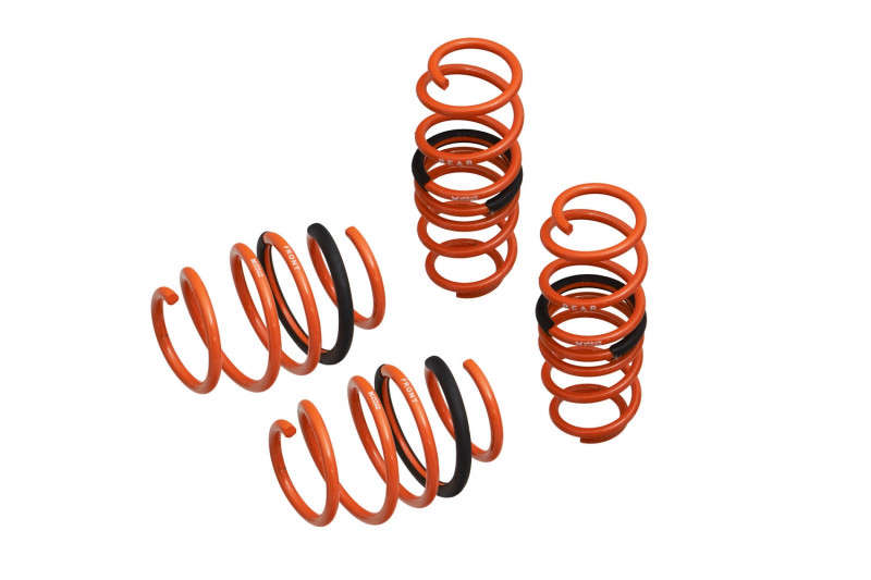 Megan Racing MR-LS-HC17R Lowering Springs | 17-21 Honda Civic Type-R ...