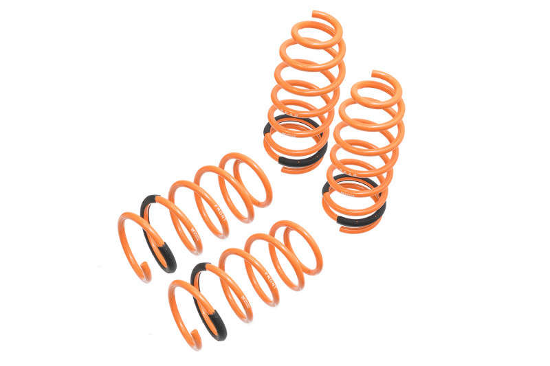 Megan Racing Lowering Springs for | MR-LS-M314 | Fitment Industries