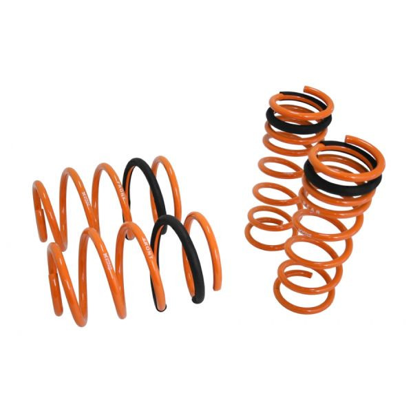 Megan Racing Lowering Springs for | MR-LS-M506 | Fitment Industries