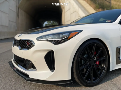 2019 Kia Stinger GT1 with 20x9 Niche Gemello and Continental 245x35 on Lowering Springs ...