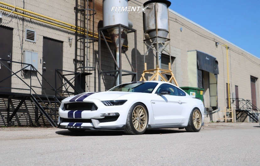 Lowered 2016 Ford Mustang Gt350 2016 Ford Mustang Shelby GT350 With