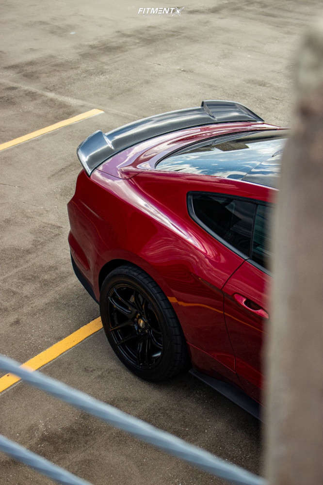 2019 Ford Mustang EcoBoost with 19x8.5 ESR Cs8 and Nitto 255x40 on ...