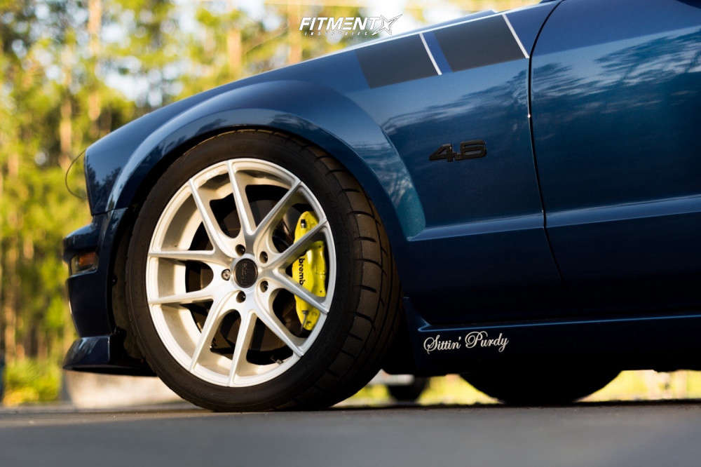 2006 Ford Mustang GT with 19x9.5 Niche Targa and Mickey Thompson 255x35 ...