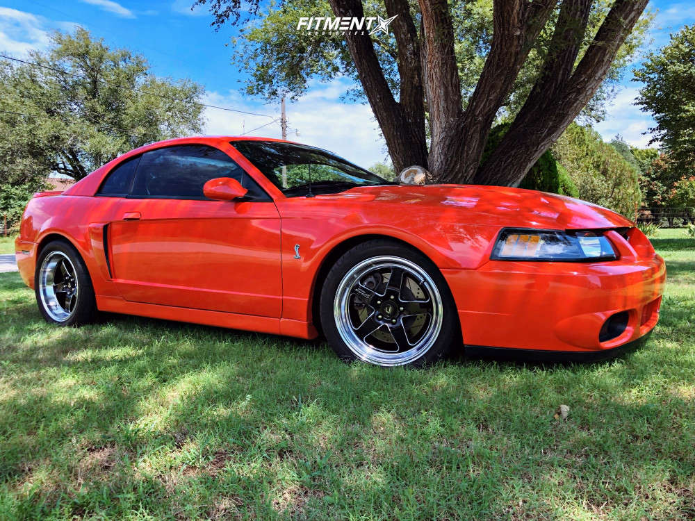 2004 Mustang Cobra Black