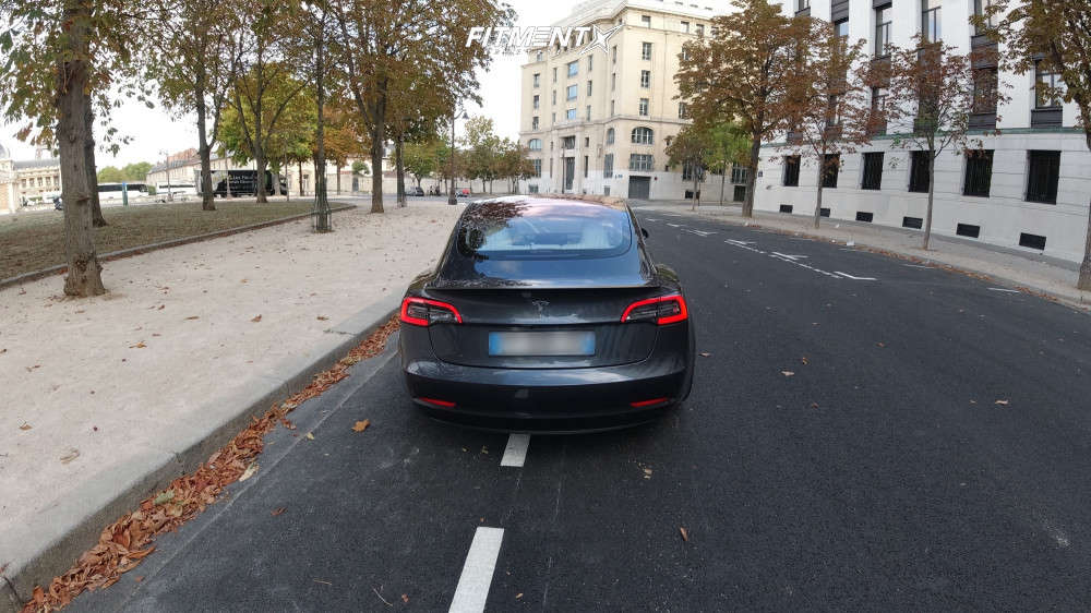 2019 Tesla 3 Performance with 20x9 Signature Wheel Sv104 and Michelin ...