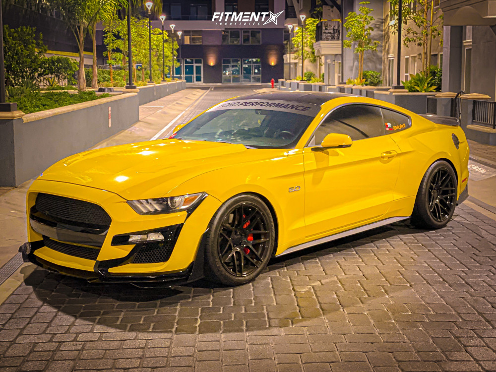 BMR Suspension Lowering Springs for | SP080R-BMR | Fitment Industries